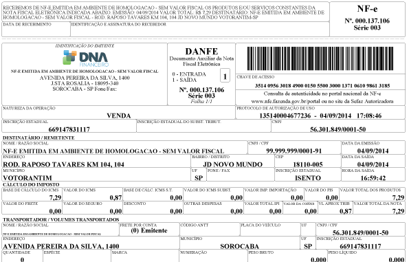 DANFE: Entenda o que é e como funciona